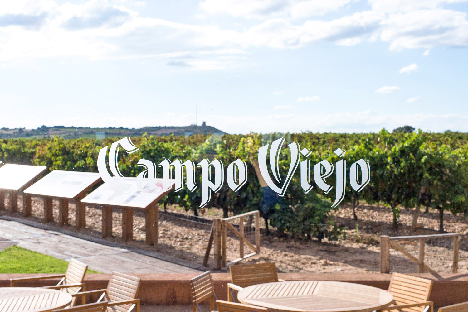 A Day at Campo Viejo winery in La Rioja, Spain - Mondomulia
