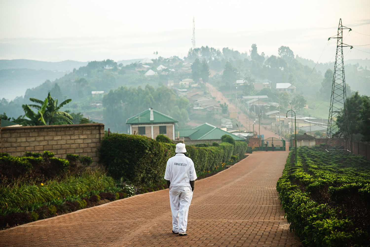 Extraordinary Journey in Rwanda with Taylors: Sorwathe Tea Estate ...