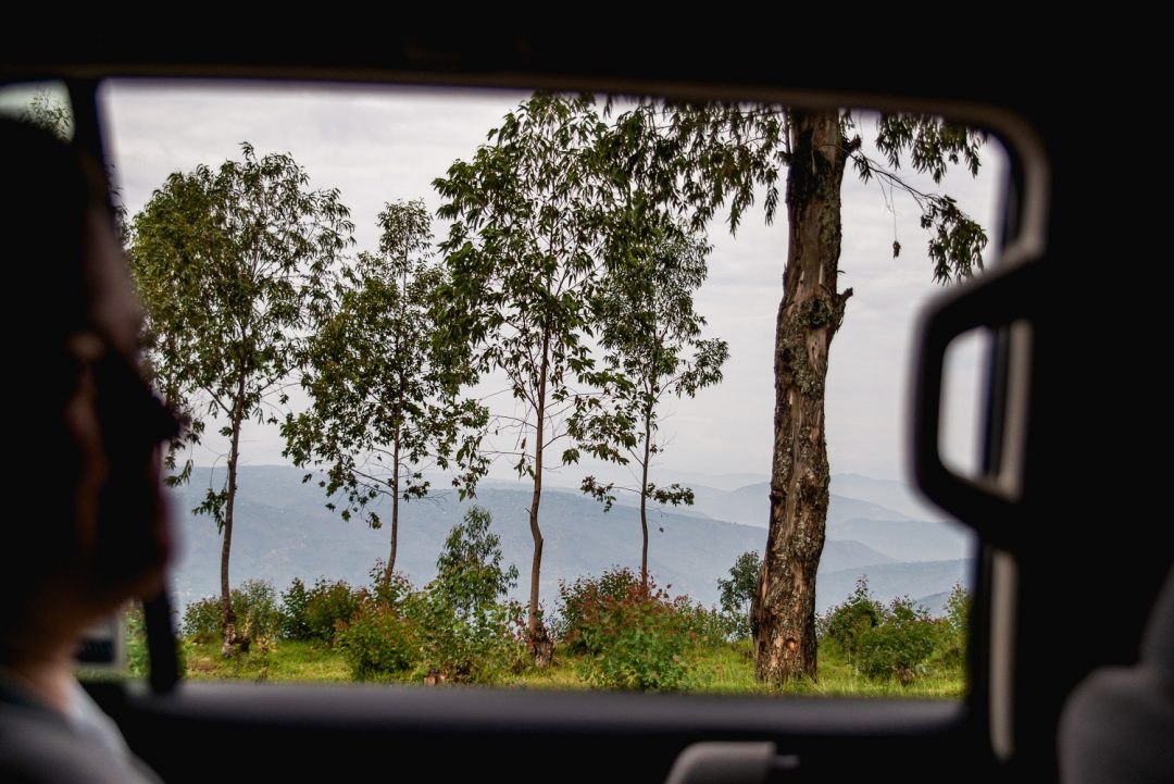 Extraordinary Journey in Rwanda with Taylors: Sorwathe Tea Estate ...