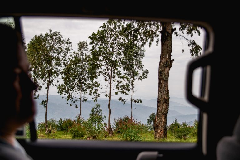 Extraordinary Journey in Rwanda with Taylors: Sorwathe Tea Estate
