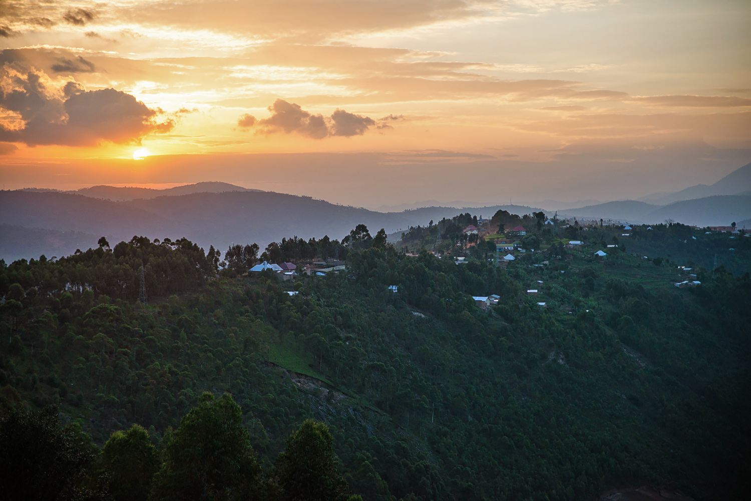Extraordinary Journey in Rwanda with Taylors: Sorwathe Tea Estate ...